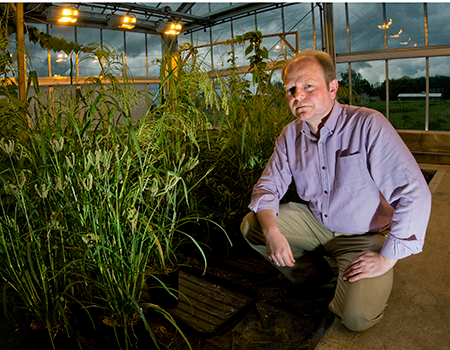 Home - Robert Rathbone