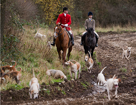 Home - Robert Rathbone